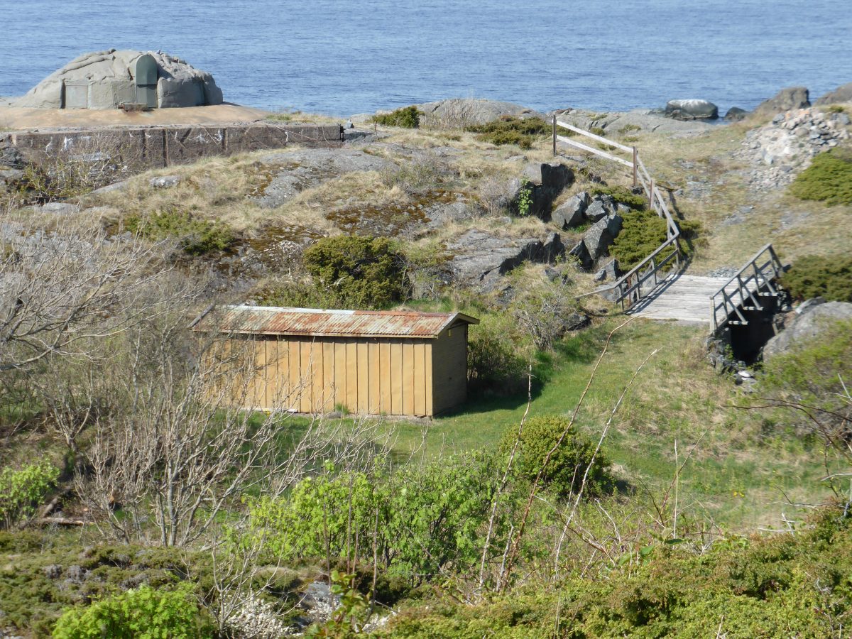 Oddane fort - Riksantikvaren