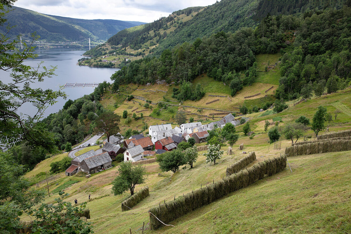 Reindrift - Riksantikvaren