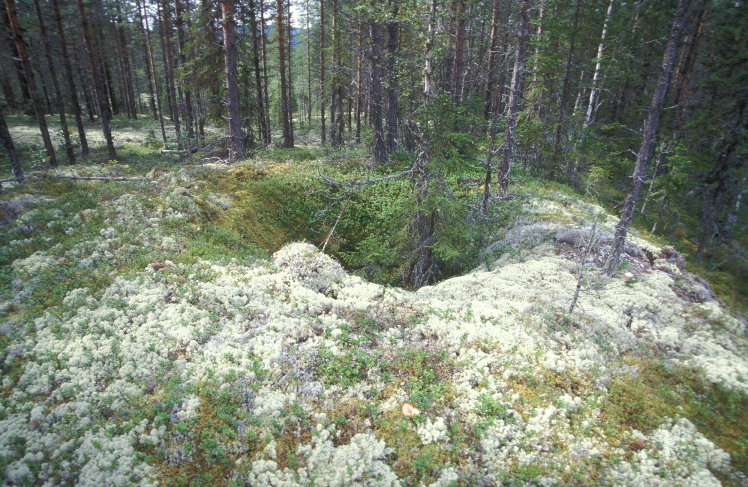 Jordbrukslandskapet - Riksantikvaren